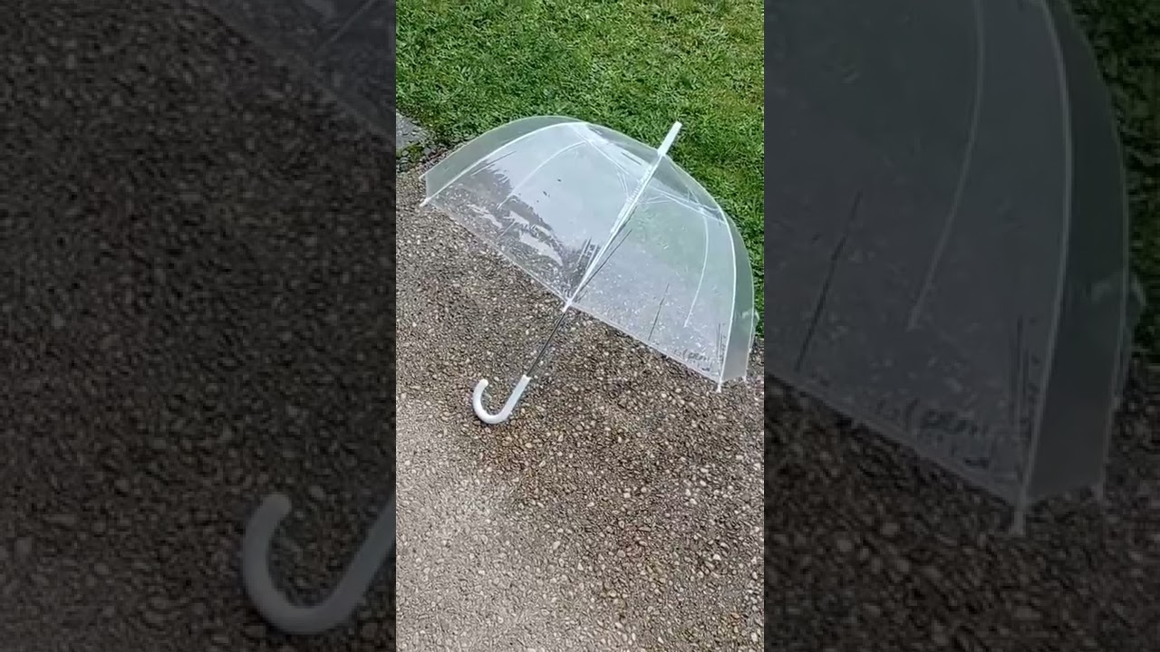 Amazon Basics   Parapluie Bulle Transparent, J'aime sa transparence et sa forme en  cloche
