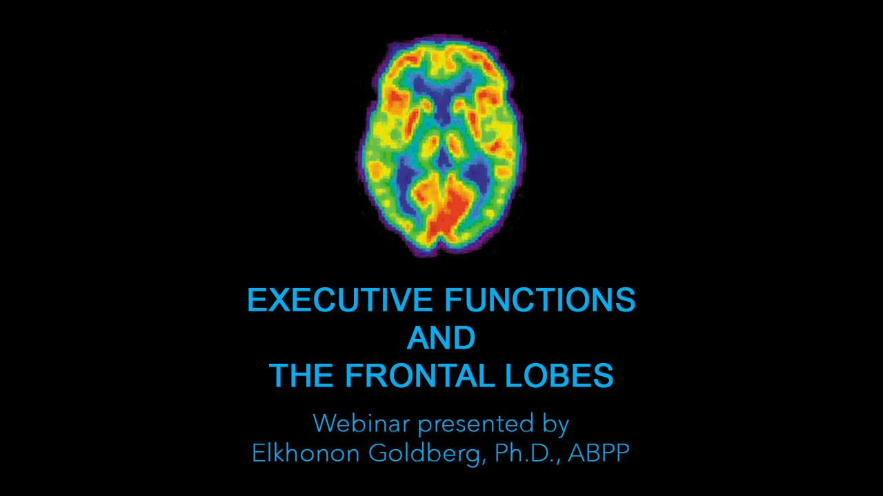 Video Course 1: Executive Functions and the Frontal Lobes (Preview)
