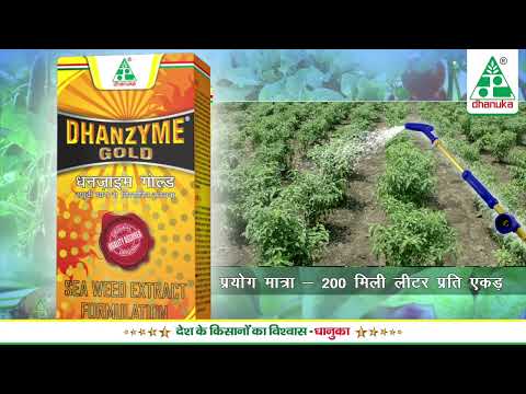 Dhanuka Fungicides - Latest Price, Dealers & Retailers in India