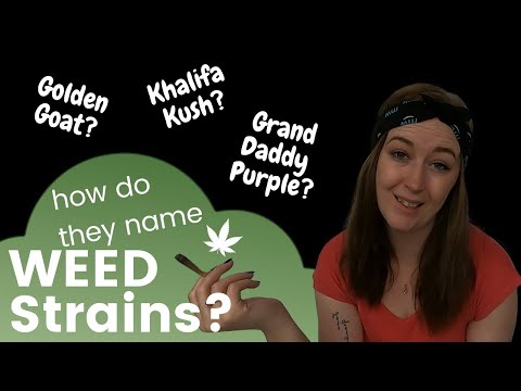 Weed Strain Names? Naming Cannabis Strains * Stoned Marlee *