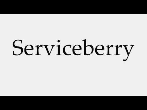How to Pronounce Serviceberry