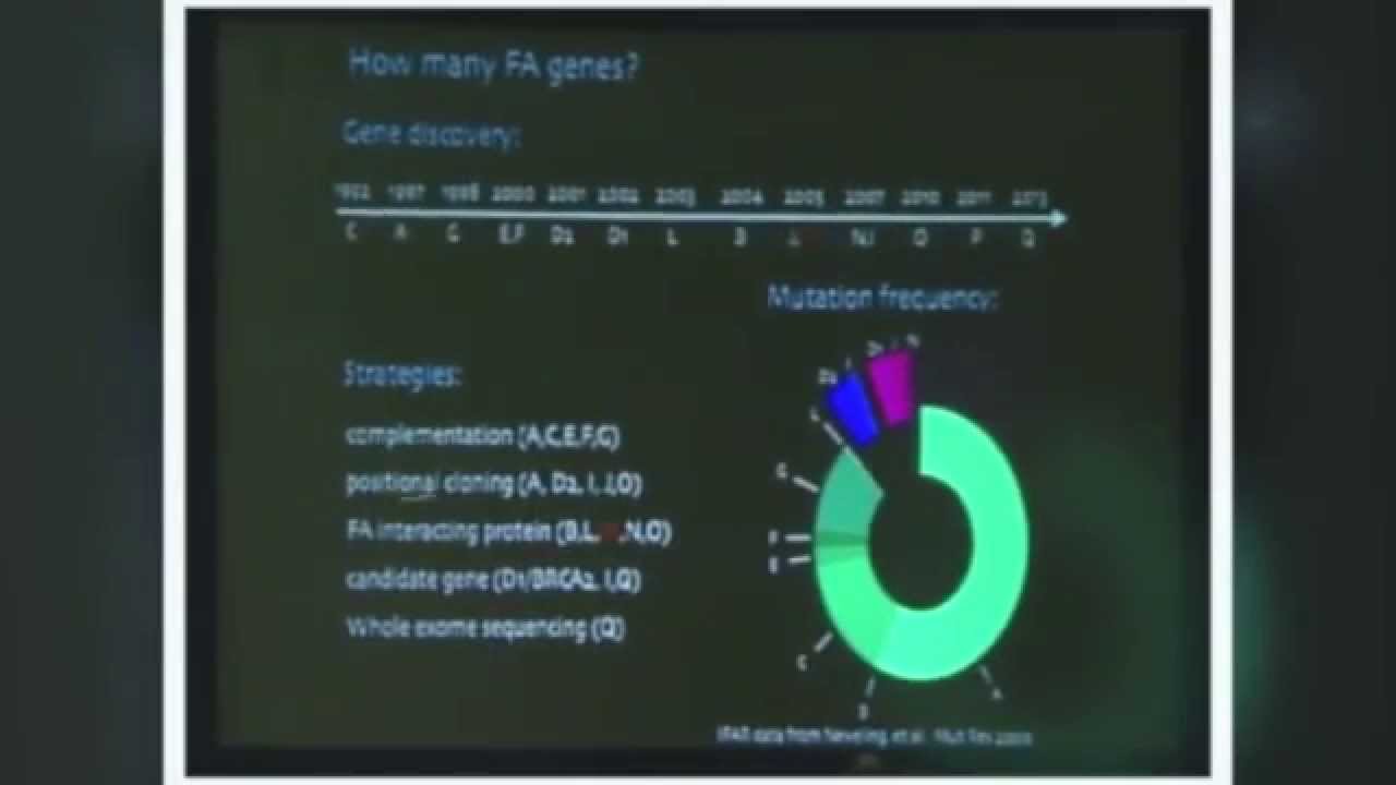 FA 101: Basic Science Background on Fanconi Anemia