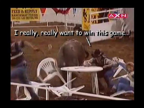 What Rednecks Call Having Fun | Sports News and Highlights