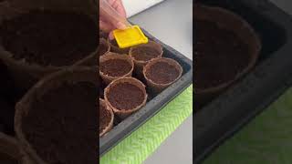 Agrotunnel planting procedure:FAST