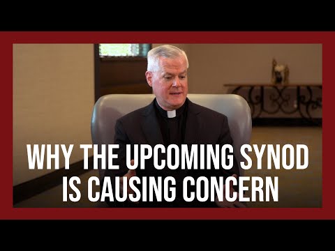 Why the upcoming synod is causing concern- Father Gerald Murray | Be Holy!