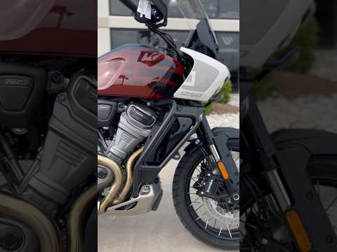 The All New 2024 Harley Davidson Pan America in Red Rock