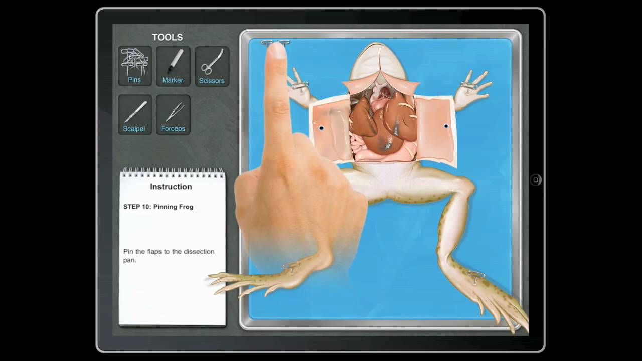 Virtual frog dissection iPad app