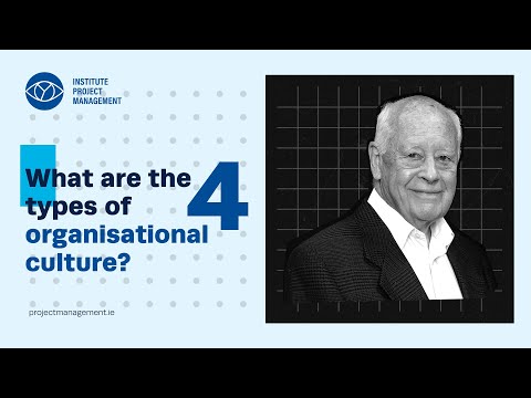 Organisational Culture | What are the 4 types of organisational culture?