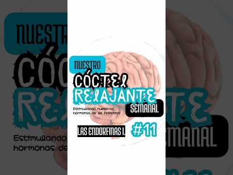 Las endorfinas 🧠 #impsica #hormonasdelafelicidad #endorfinas #saludmental #autocuidado #psicologia