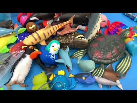 Jaw-some Unboxing: Shark Toys and Sea Animal Fun Facts for Kids