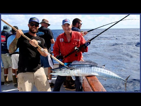 Best Fishing Reels 2023 - You Can Buy