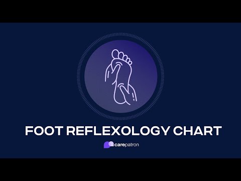 Foot Reflexology Chart