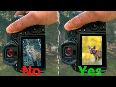 HOW TO GET A BLURRY BACKGROUND IN-CAMERA! Depth of field explained.