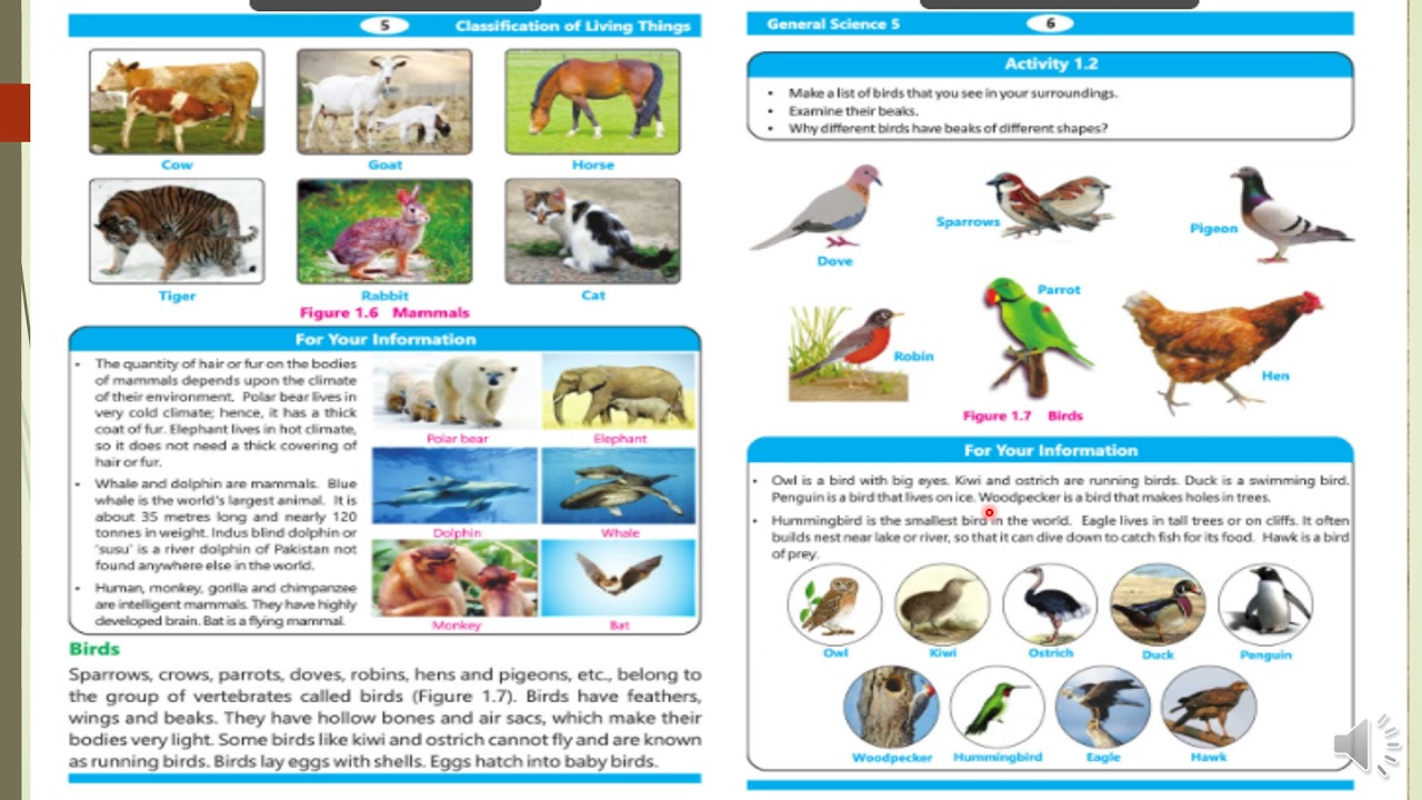 science lecture # 6 pptx