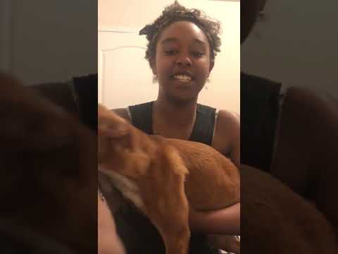 “Affordable and compassionate doctors” | Client Testimonial - My ESA Doctor