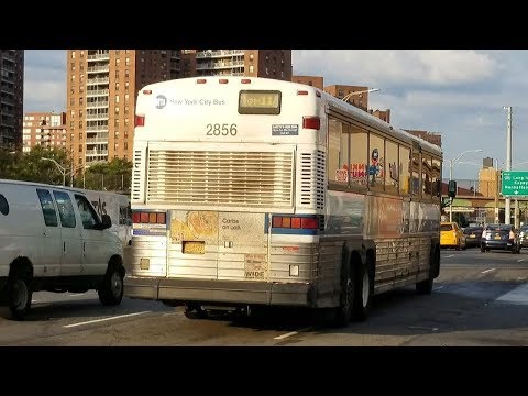 MTA Bus Company: 2002 MCI D4500 2856 On The QM11 At Horace Harding Expressway & Otis Avenue