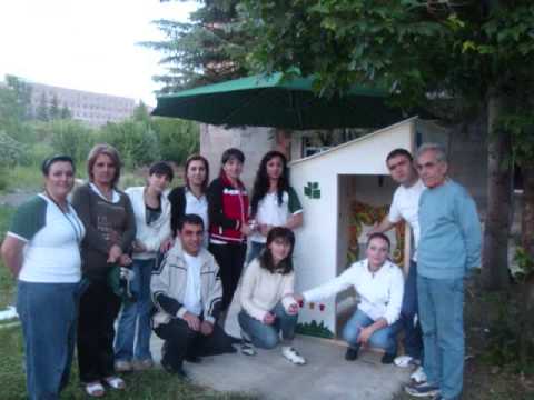 SEF Teambuilding