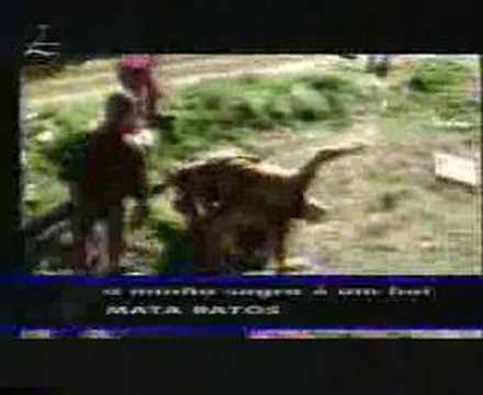 Mata-Ratos music, videos, stats, and photos | Last.fm