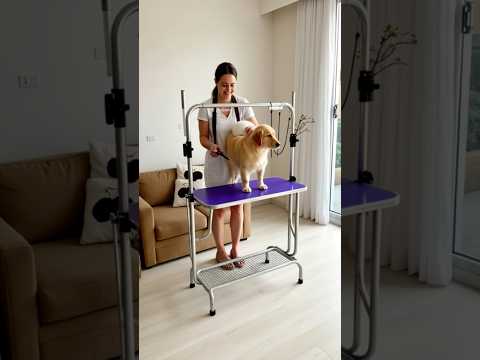 Top 10 Dog Grooming Tables for Professional Groomers #DogGrooming #GroomingTable #DogSalon #dog