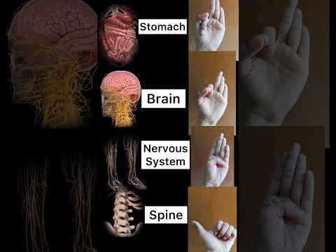 Transform Your Energy with Merudand,vayu gyan adi mudra #ytviralshorts#yttrendingshorts#yt