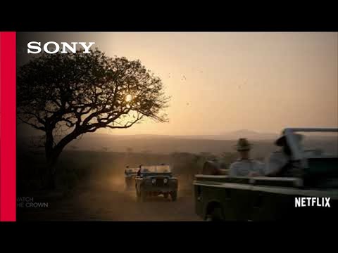X800 4K Ultra HD Blu-ray Player | Sony
