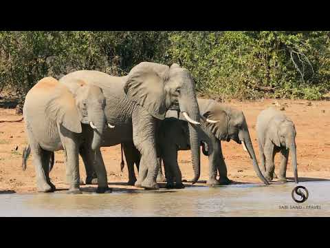 Sabi Sand Game Reserve