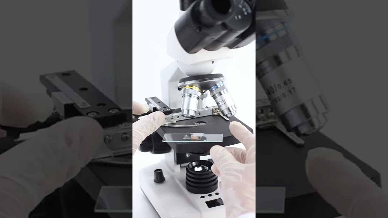 Microscope - Vegetable Tomato