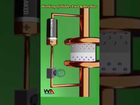 Working of Diodes in Forward & Reverse Bias #Diodes