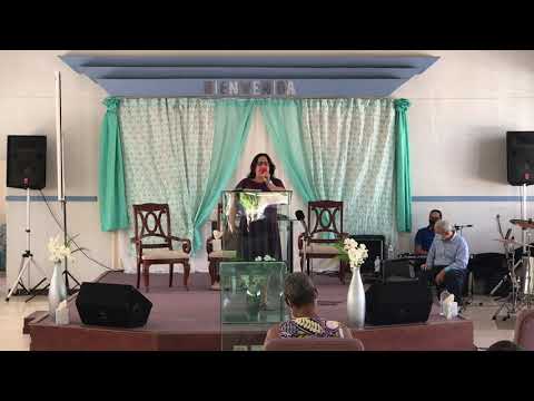 IDDPMI PARCELAS FALU 7-Jun-2020 Pastora Elizabeth Irizarry