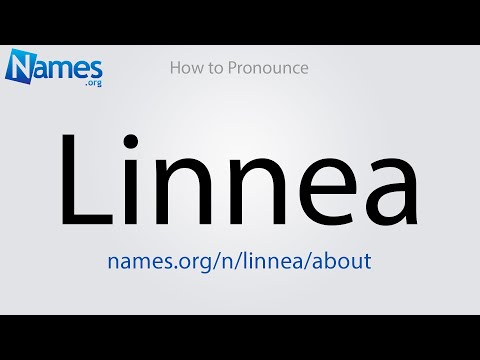 How to Pronounce Linnea