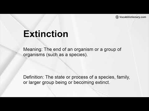 Extinction Meaning