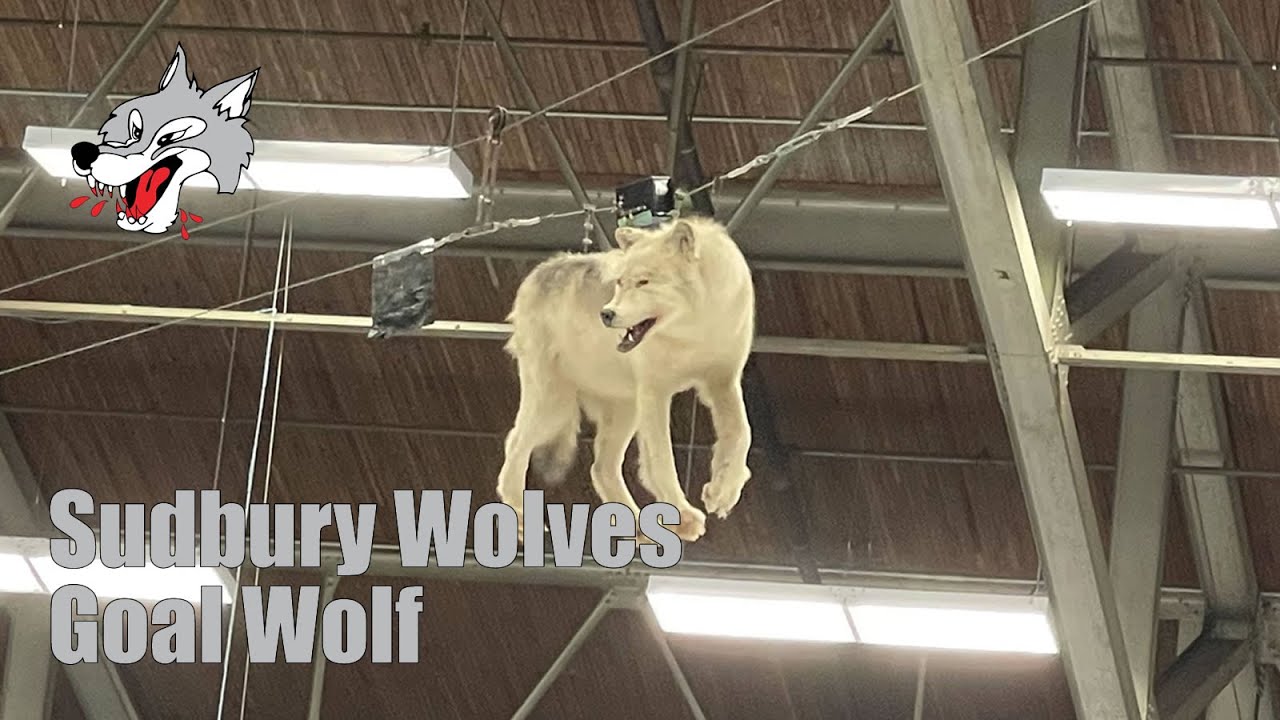 Sudbury Community Arena – Sudbury Wolves | Stadium Journey