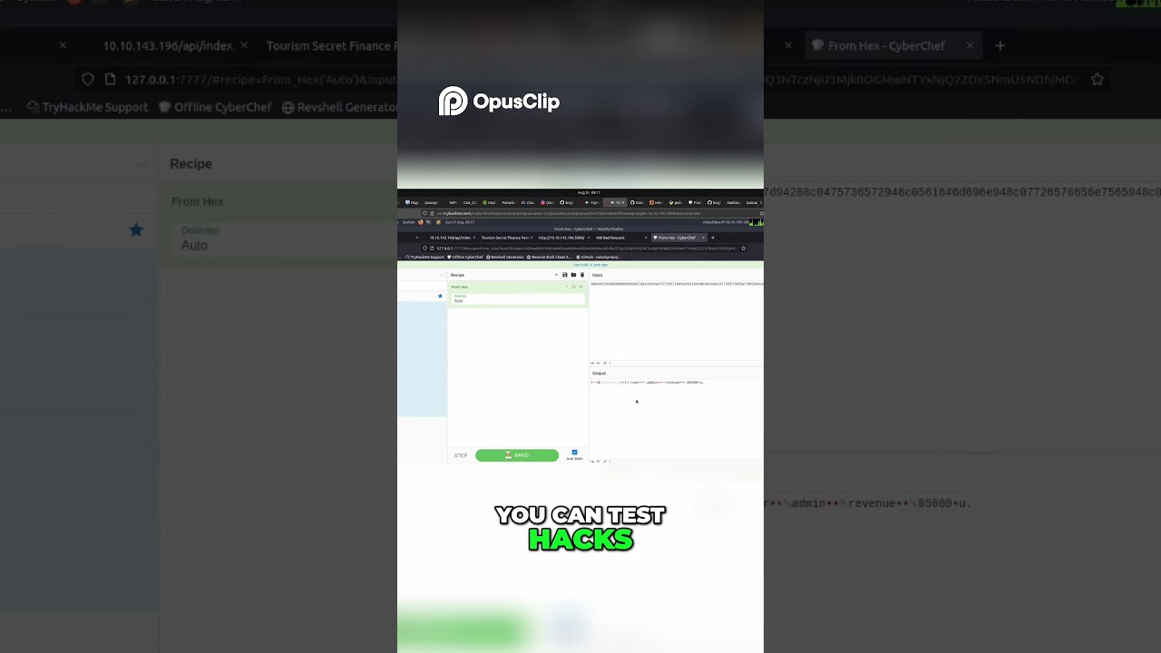 TryHackMe Voyage - Python Pickle Exploits  #tryhackme