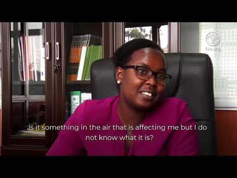 Kenya UN CC: Learn Project