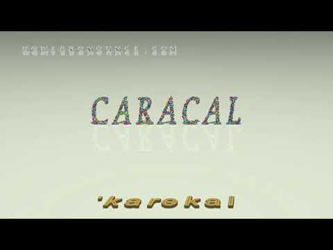 caracal - pronunciation