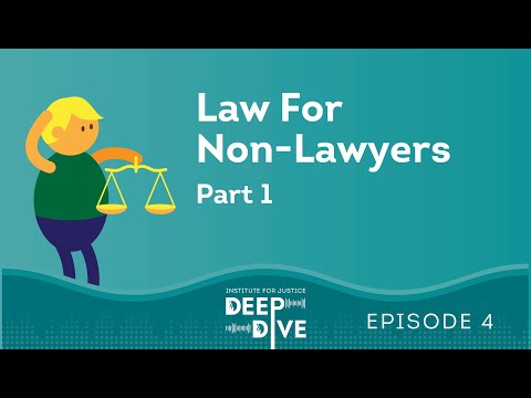 Law for Non-Lawyers – Standards of Review