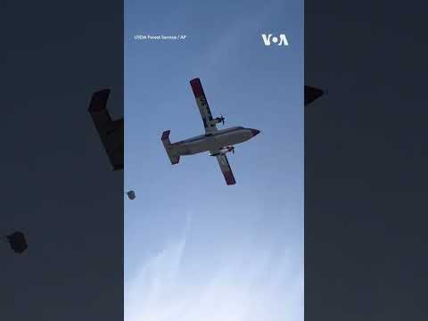 Smokejumpers Parachute into Remote Areas to Battle US Wildfires #shorts | VOA News