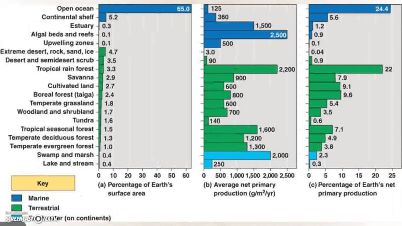Calculating Primary Productivity Part 1