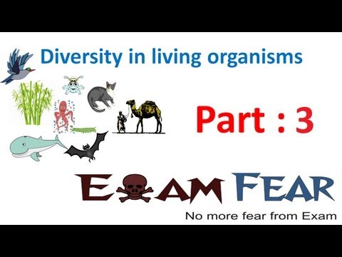 Basis of Classification (Easy Explanation) Video Lecture - Class 9