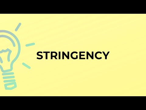 What is the meaning of the word STRINGENCY?