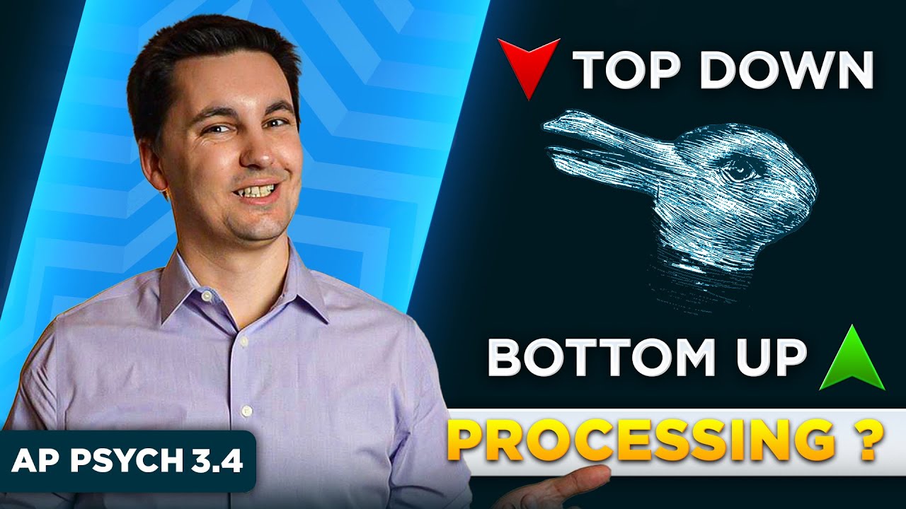 Understanding Top-Down and Bottom-Up Processing in Visual Perception ...
