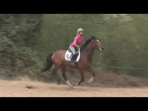 How To Position Your Horse To A Gallop