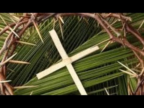 What’s the meaning of Palm Sunday