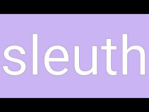 Sleuth Definition & Meaning