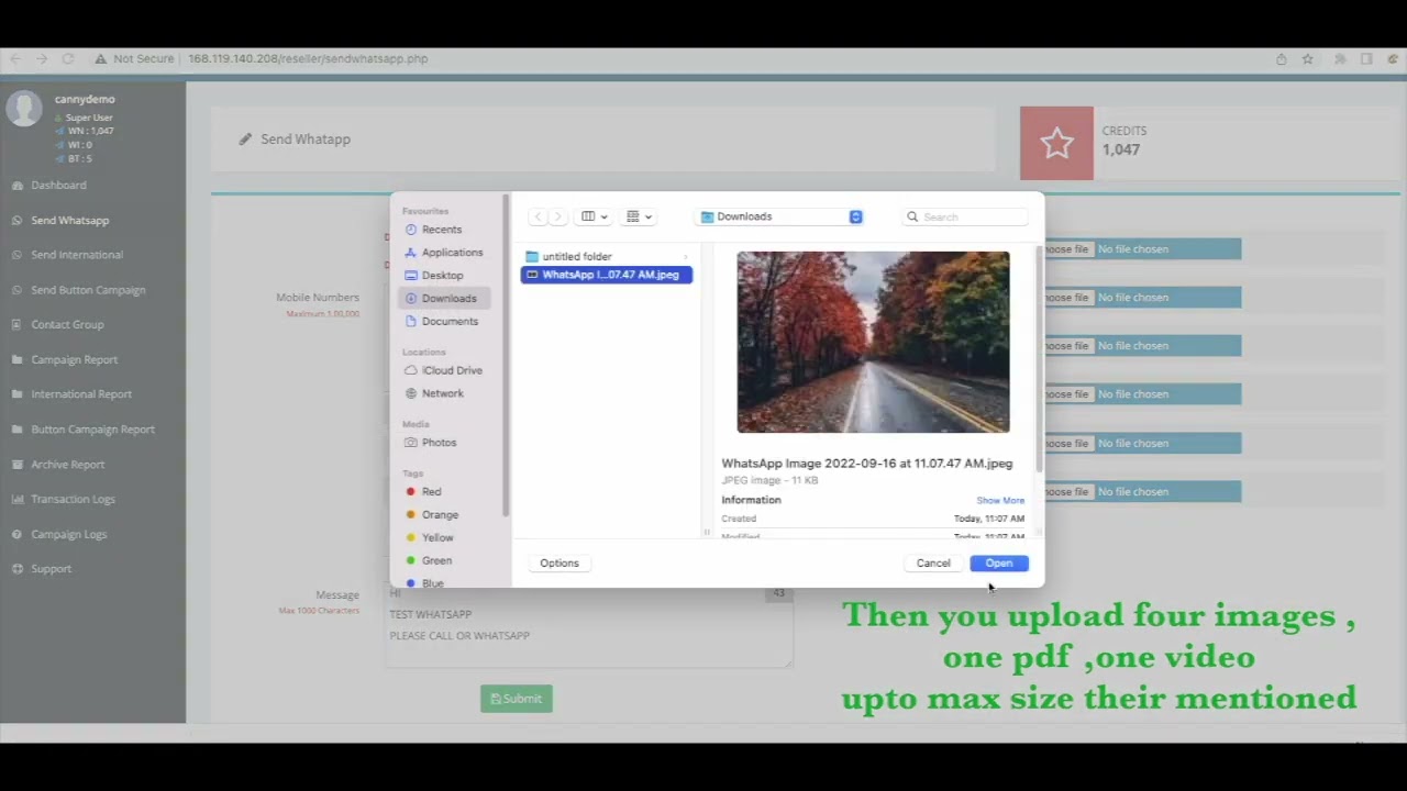 Bulk whatsapp Demo Video