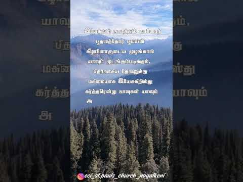 Morning meditation |இன்றைய தேவ வசனம் |Daily Tamil bible verses |Today bible verses 24/05/2025