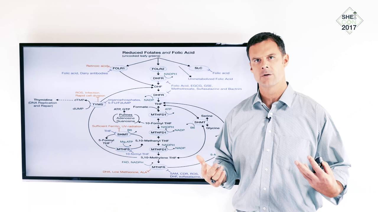 Pathway Planner Basics