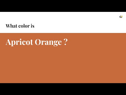 Apricot Orange color #c86b3c hex color - Orange color - Cool color c86b3c