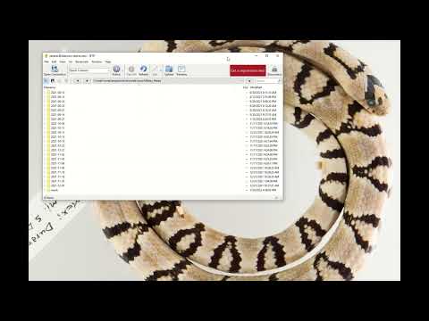 How to Transfer Media to TACC (Bulk Media Loads)