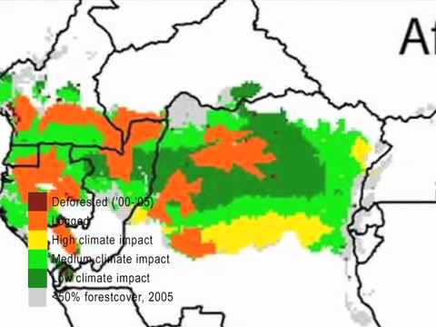 Global Tropical Forests Threatened by 2100